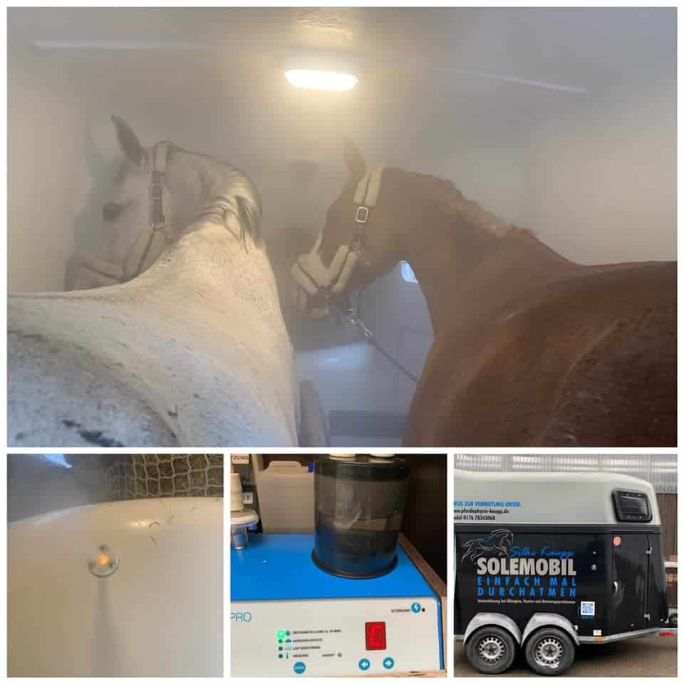 Mobile Soleinhalation - Pferdephysio-Kaupp